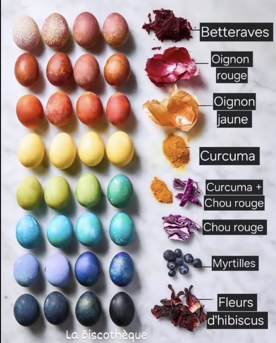 Comment Colorer Naturellement des oeufs de Pâques ? – La Biscothèque
